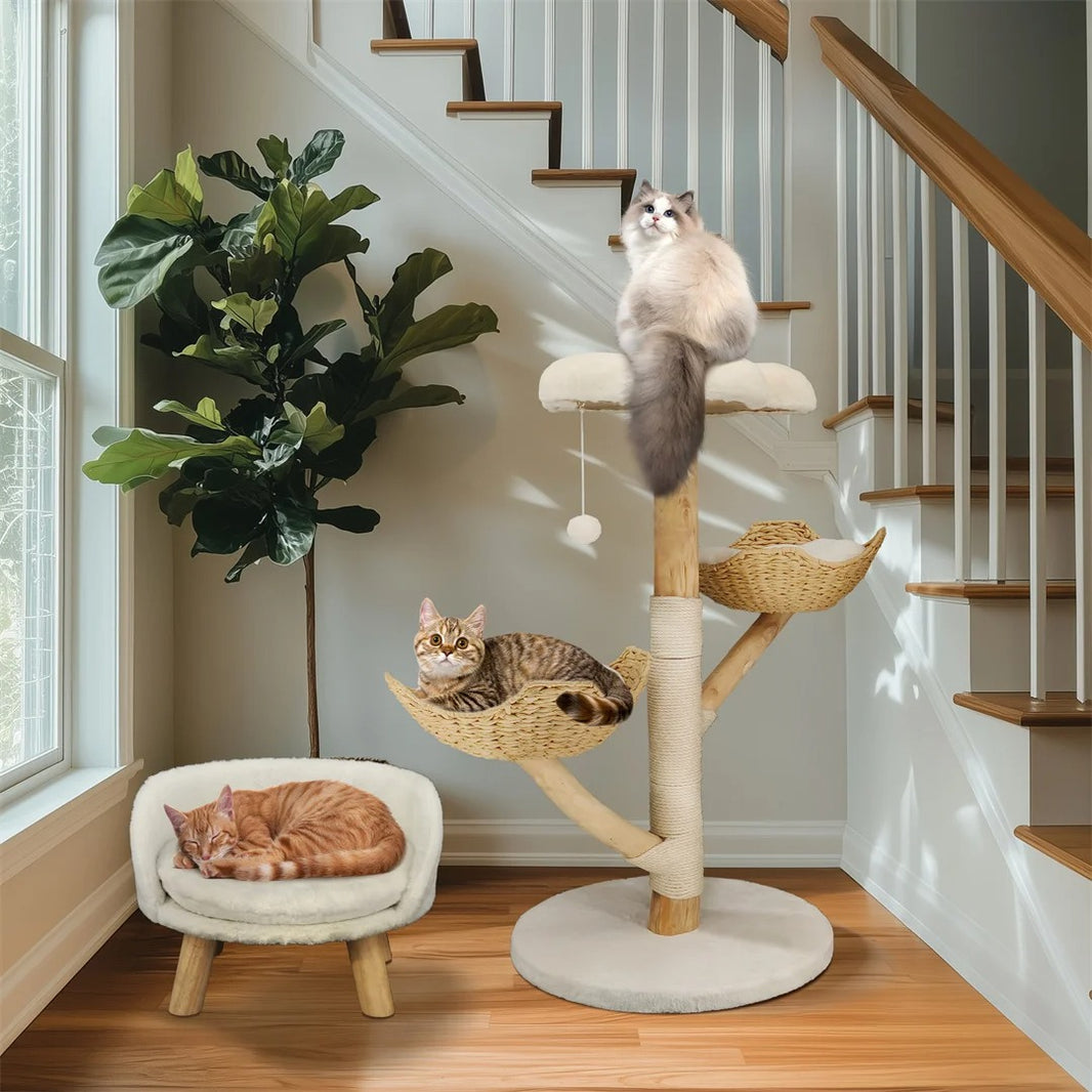Top Cat Trees & Cat Towers in Australia | Delight Your Feline Friends ...